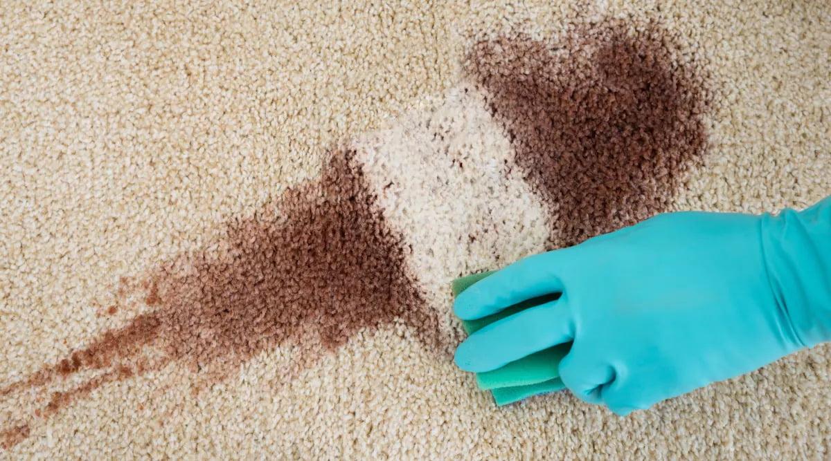 How to Remove Common Carpet Stains and Spills
