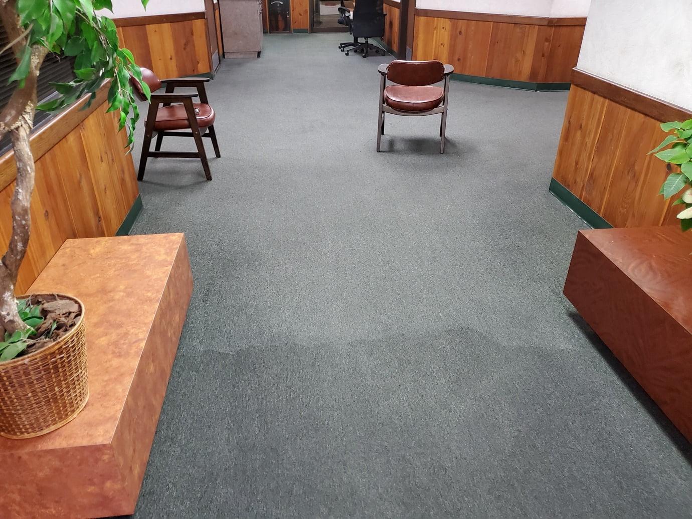 Decoding the Carpet Cleanse: Exploring Various Techniques for a ...