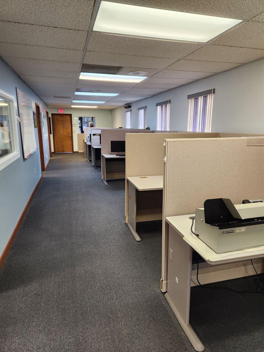 Sustainable Elegance: The Eco-Friendly Carpet Cleaning Practices of ...